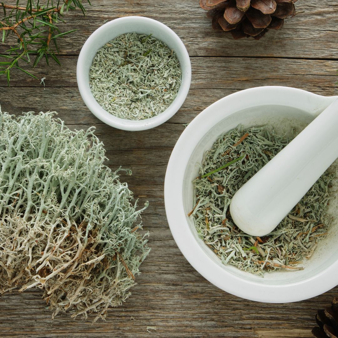 Bear Minimum NJ - Refillery and sustainable goods marketplace