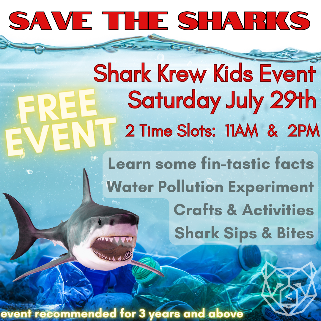 Bear Minimum Nj Refillery And Sustainable Goods Marketplace